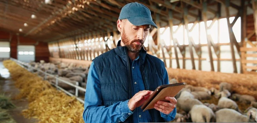 Tips for Getting the Best Agri-loan Rates - Market Certainty